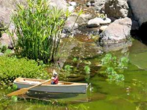 Water plants for the garden railway | Garden Railways Magazine