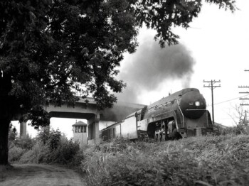 Steam queen - Trains