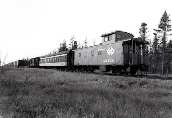 Remembering the Newfoundland Railway - Trains