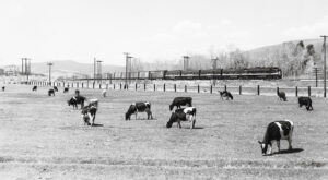 Northern Pacific Railway: A History - Trains