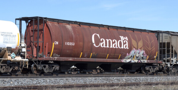 Distinctive Canadian grain hoppers near end of the line - Trains