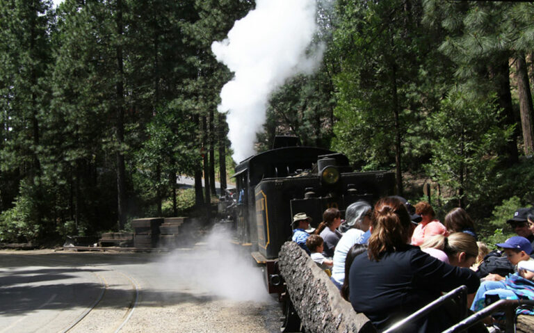 Yosemite Mountain Sugar Pine Railroad: How to visit - Trains