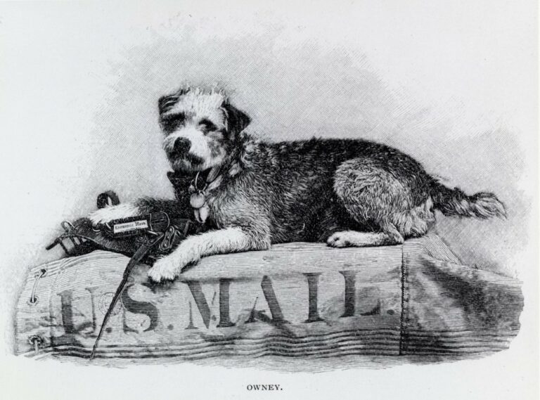 Owney the Railroad Post Office Dog - Trains
